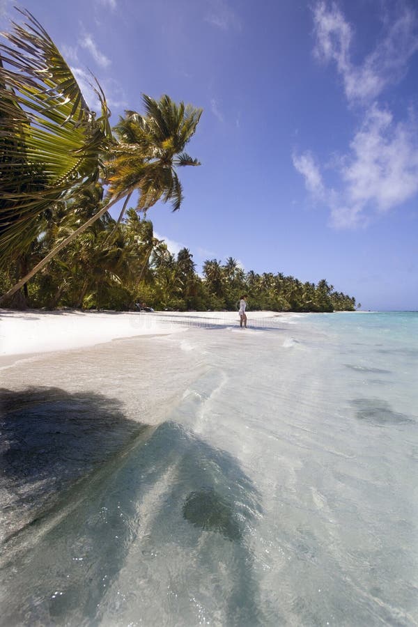 Exotic beach stock image. Image of beach, paradise, tranquil - 4083625