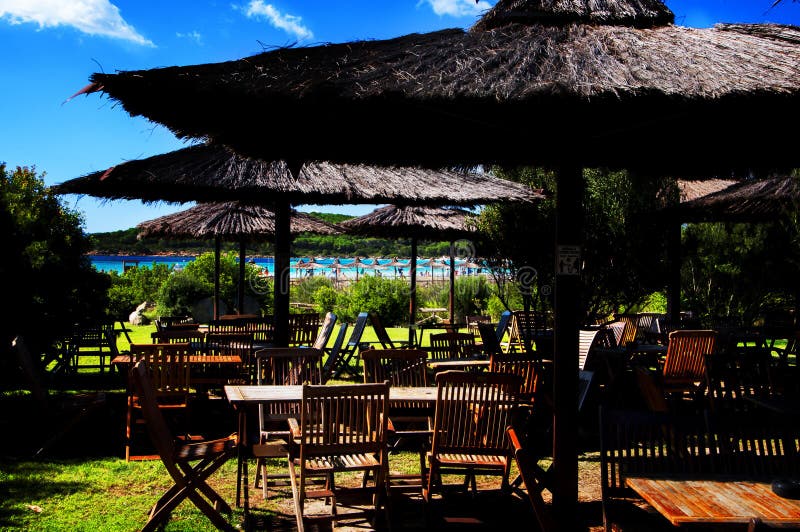 Exotic beach bar stock image. Image of cuisine, environment - 45958633