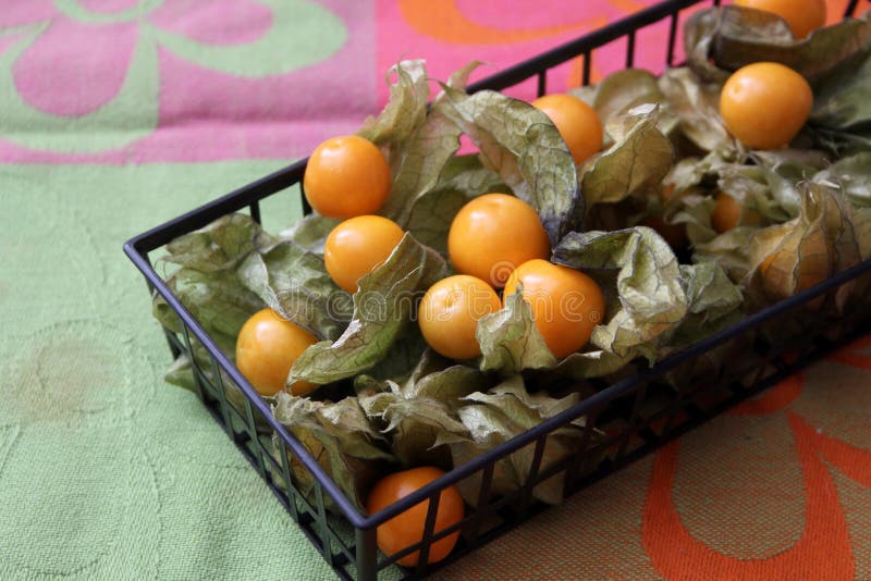 Exotic berries stock image. Image of fruits, orange - 113758235