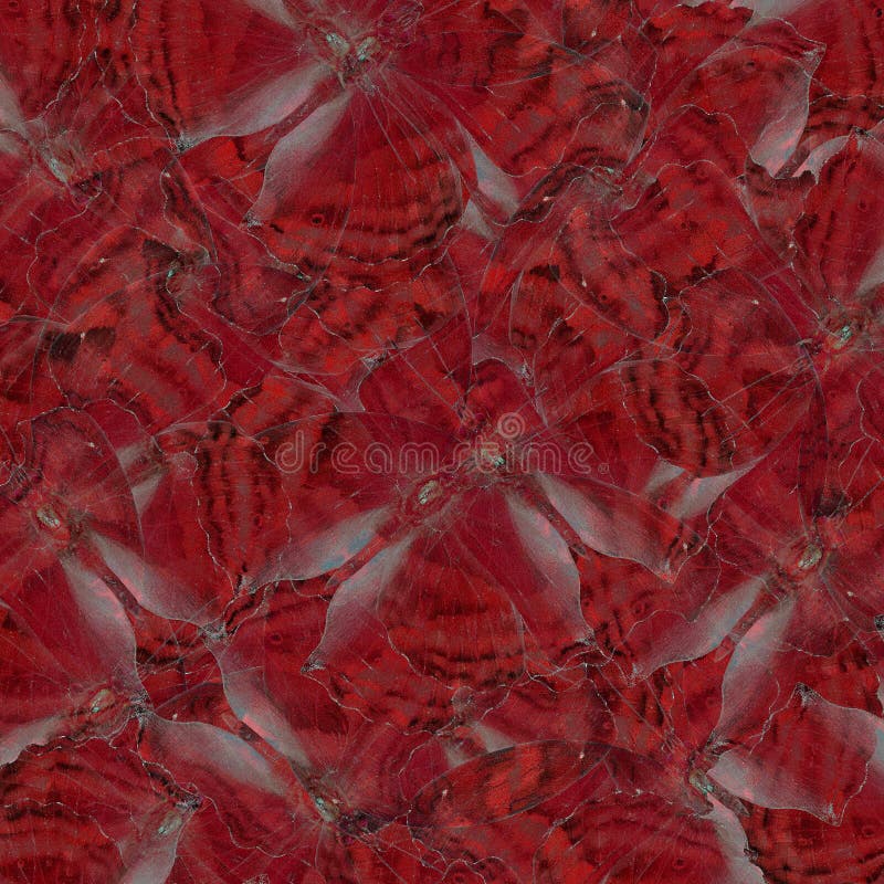 Exotic Blue Background Texture Made from Chocolate Pansy Butterflies in ...