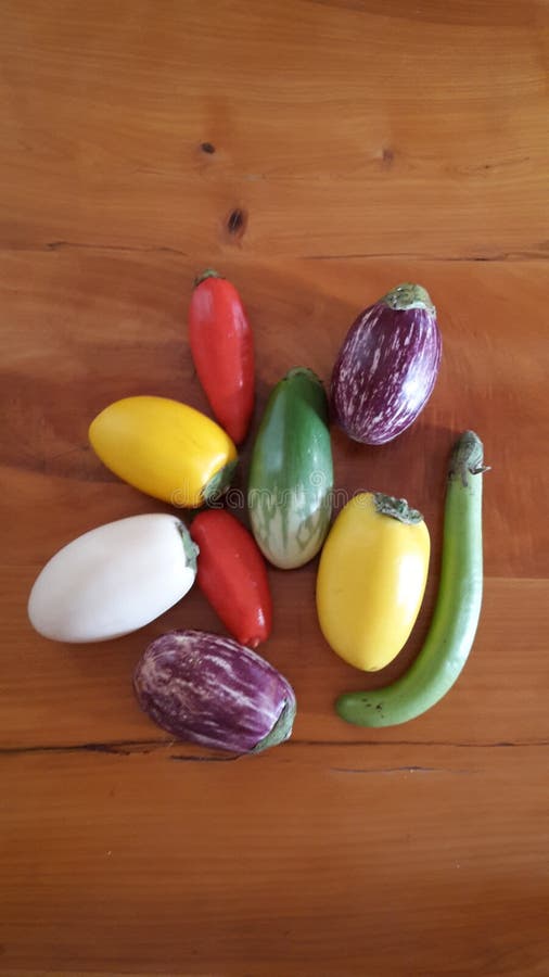 Exotic Brinjals stock image. Image of eggplants, exotic - 51079335