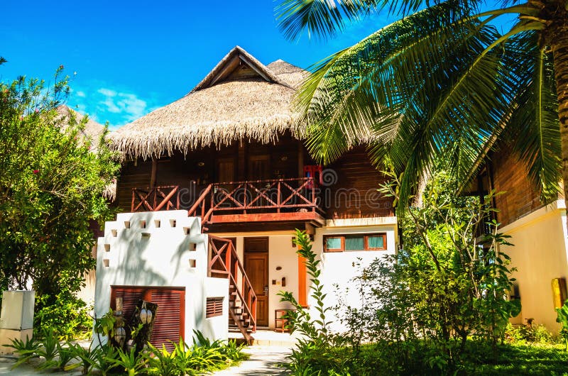 Exotic Bungalow with Tall Palm Trees Stock Image - Image of blue, ocean ...
