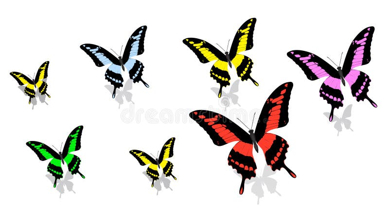 Exotic Butterfly of Different Size and Color, Random Order, Top View ...