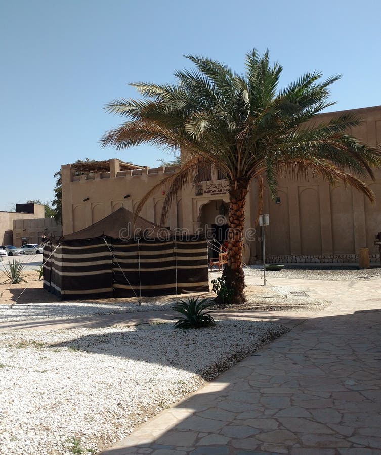 Exotic stock photo. Image of desert, morning, exotic - 72614318