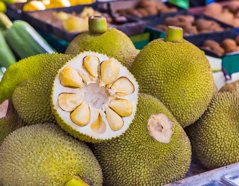 Exotic Durian Fruit Display at a Tropical Market Stock Photo - Image of ...
