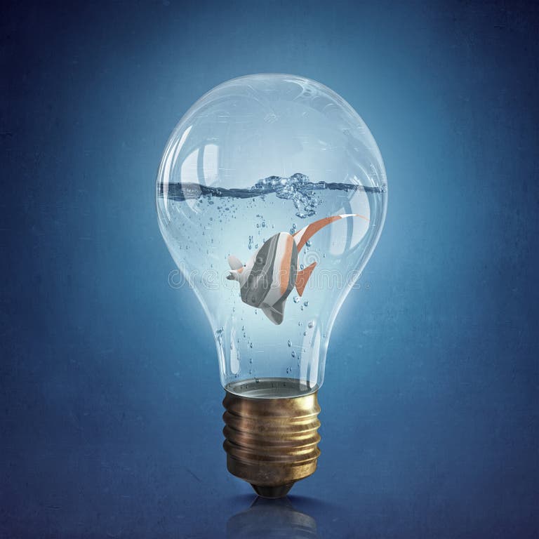 Exotic fish in bulb stock photo. Image of conservation - 67725158