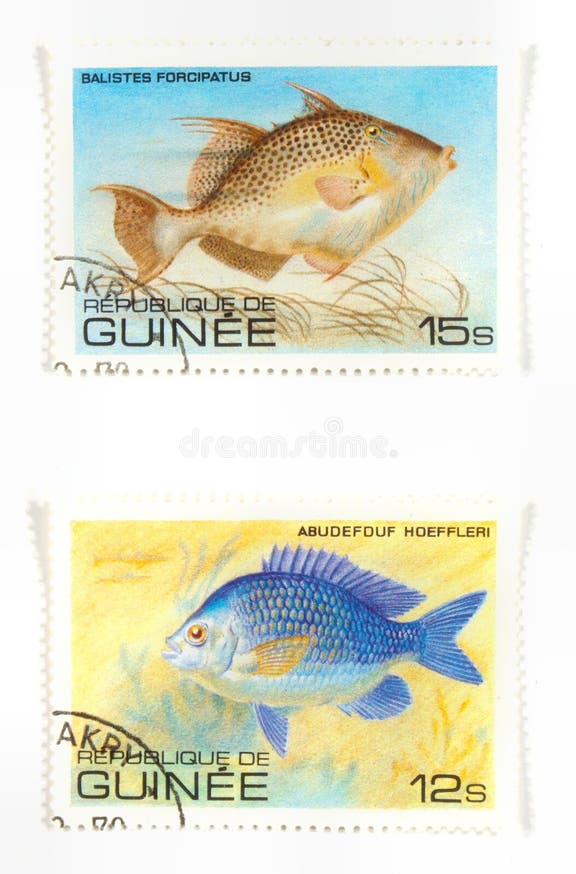 Exotic fish on stamps editorial stock image. Image of collectible - 3170459