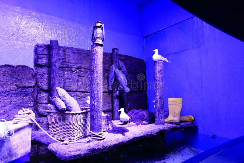 Exotic Fish Tank Aquarium in Antalya, Turkey Editorial Stock Image ...