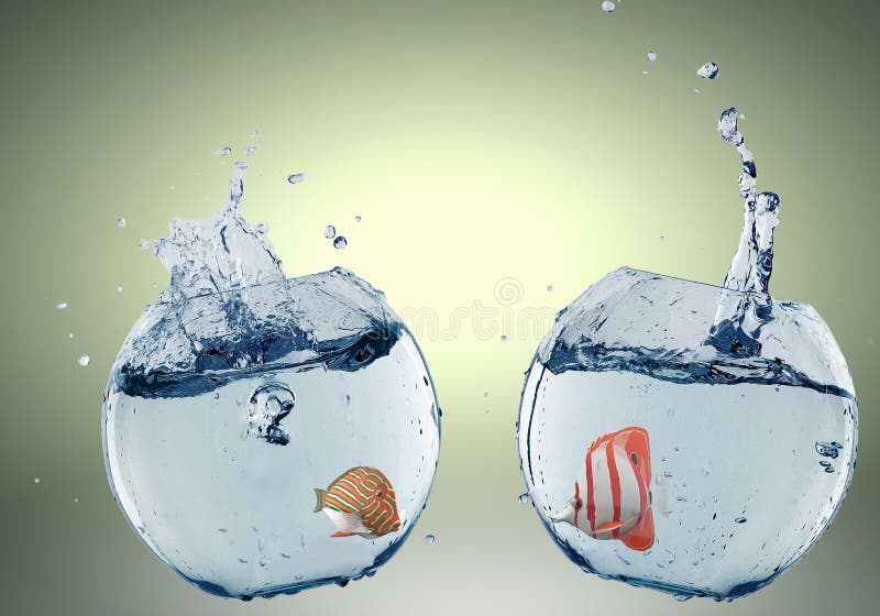 Exotic fish stock photo. Image of tropical, aquarium - 59651674