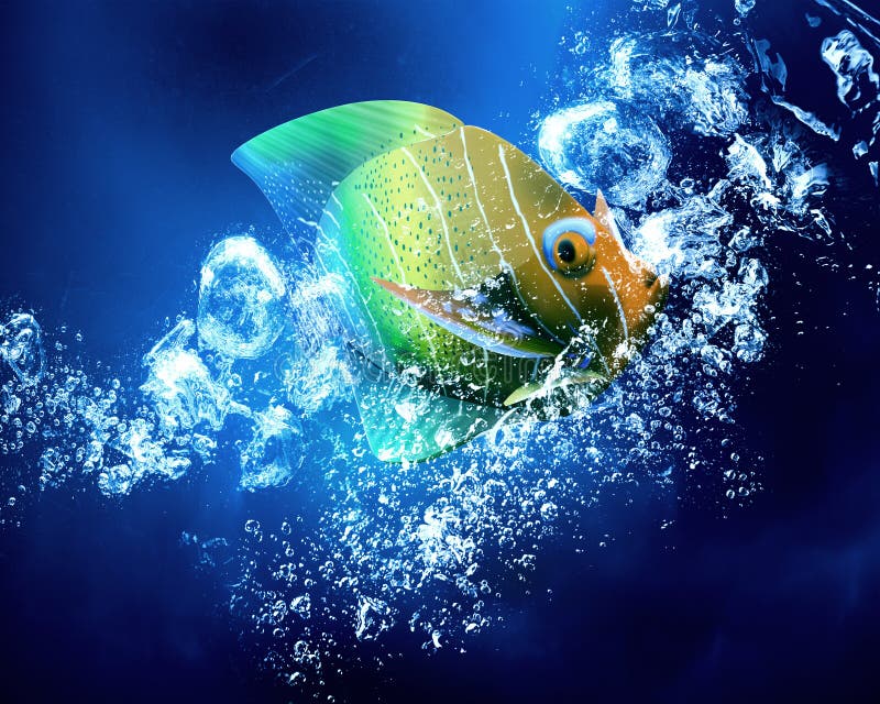 Exotic fish in water stock image. Image of beauty, crystal - 62305921