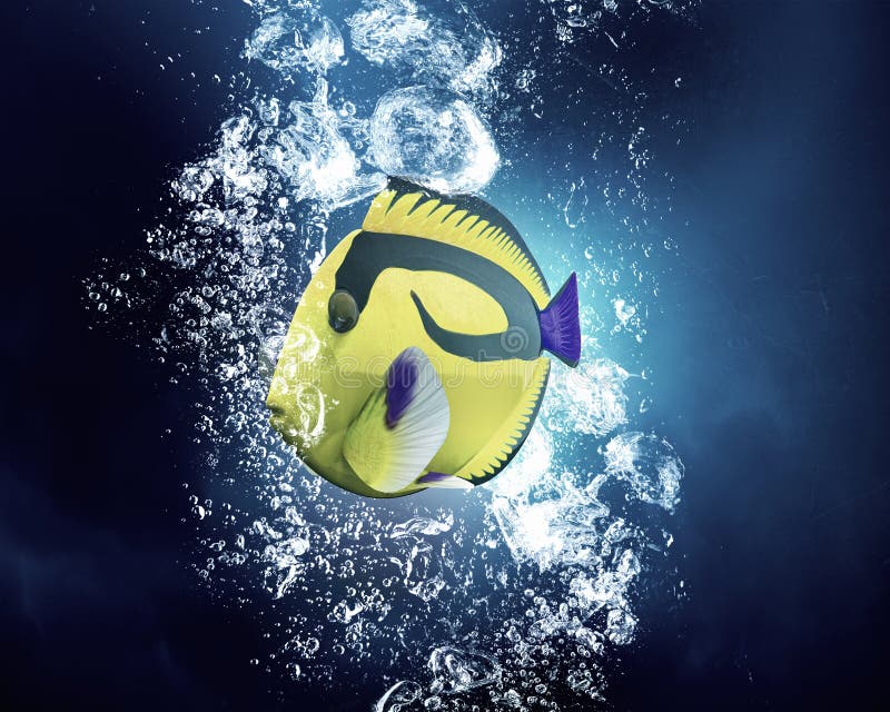 Exotic fish in water stock photo. Image of travel, crystal - 70324502