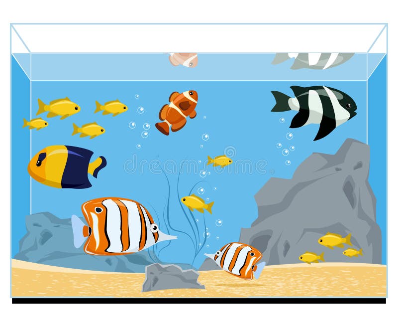 Cartoon Fishes In Aquarium. Saltwater Or Freshwater Fish Tank Vector ...