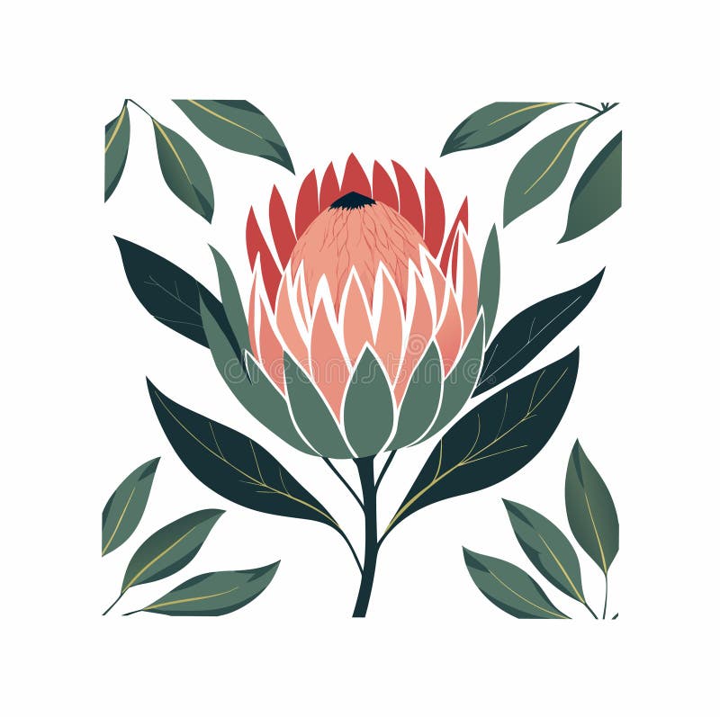 Exotic Flower Protea Tropical Pattern Vector Artwork . Stock ...