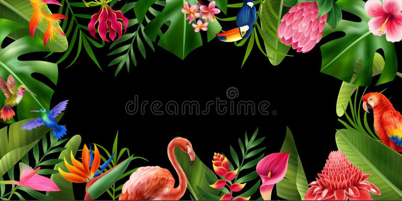 Exotic Flowers Horizontal Frame Stock Vector - Illustration of palm ...