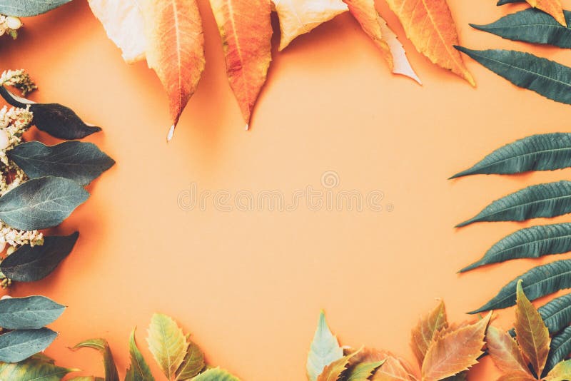 Exotic Foliage Fall Leaves Frame Peach Background Stock Image - Image ...