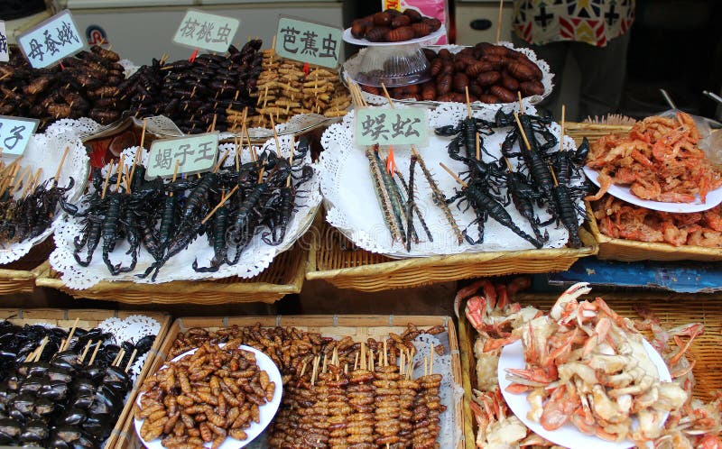Exotic food stock photo. Image of harbin, insects, market - 55420572