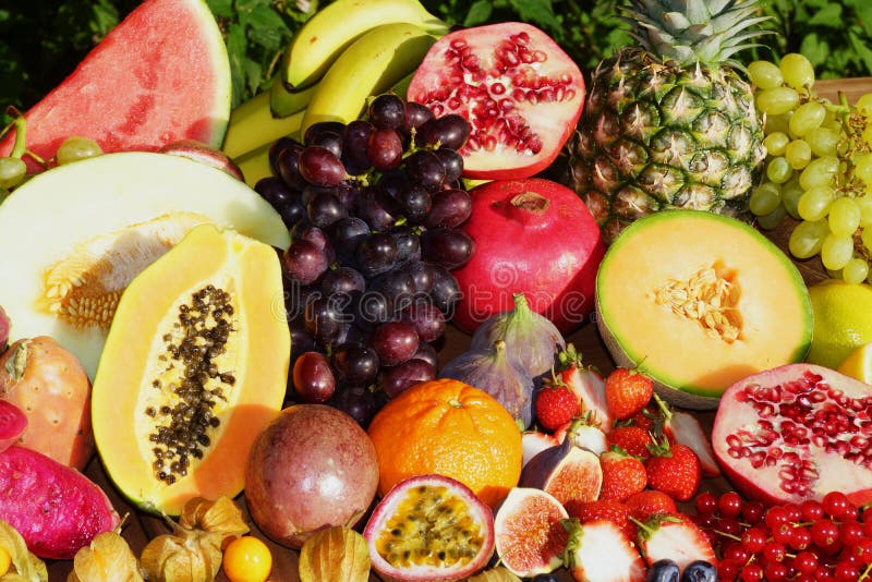 Healthy Exotic Citrus Fruits Stock Image - Image of import, citrus ...