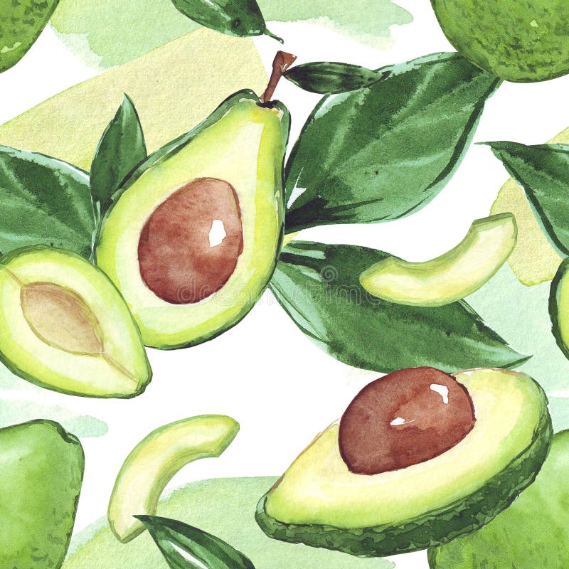 Exotic Green Avocado Wild Fruit in a Watercolor Style Pattern. Full ...
