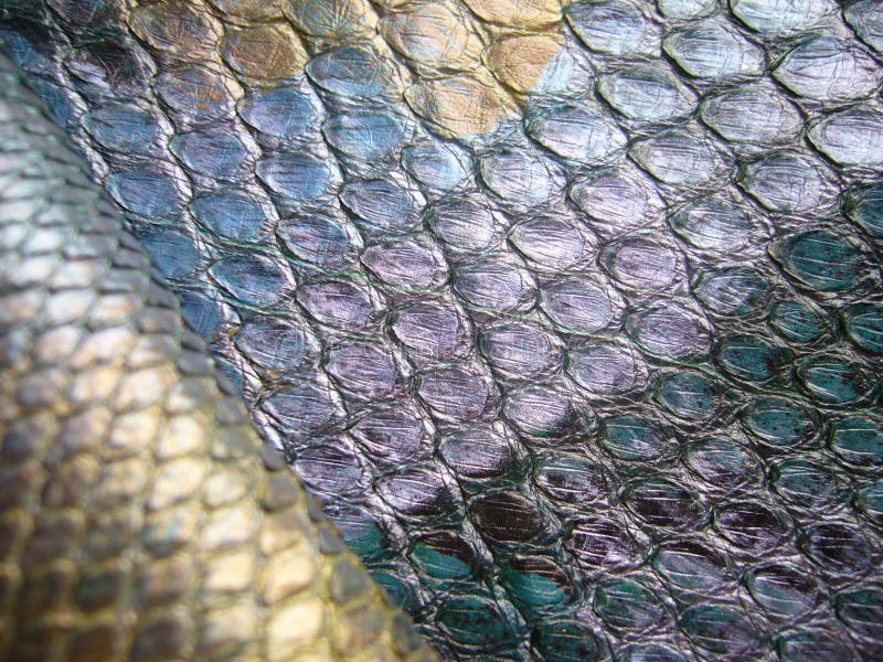 Exotic Haberdashery Leather, Python Skin, Snake Skin. Blue, Turquoise Leather for Accessories ...