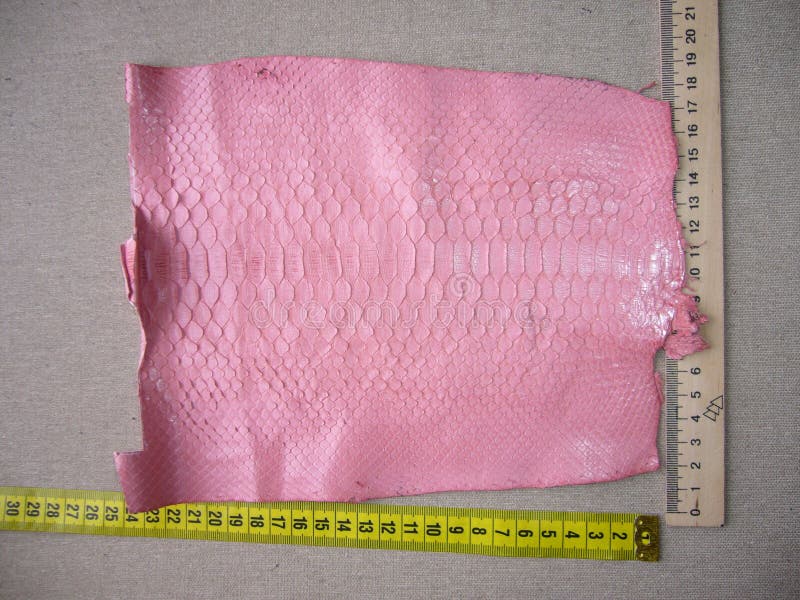 Exotic Haberdashery Leather, Python Skin, Snake Skin. Pink Leather for ...