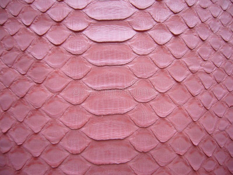 Exotic Haberdashery Leather, Python Skin, Snake Skin. Pink Leather for ...