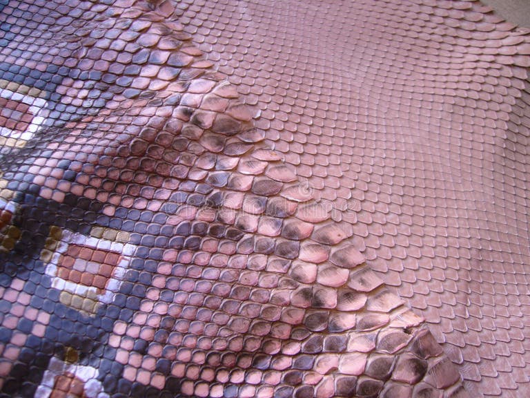 Exotic Haberdashery Leather, Python Skin, Snake Skin. Pink Leather for ...
