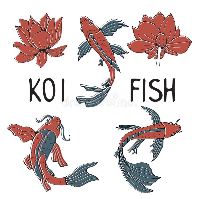 Exotic Japanese Koi Fish Illustration in Vector Stock Vector ...