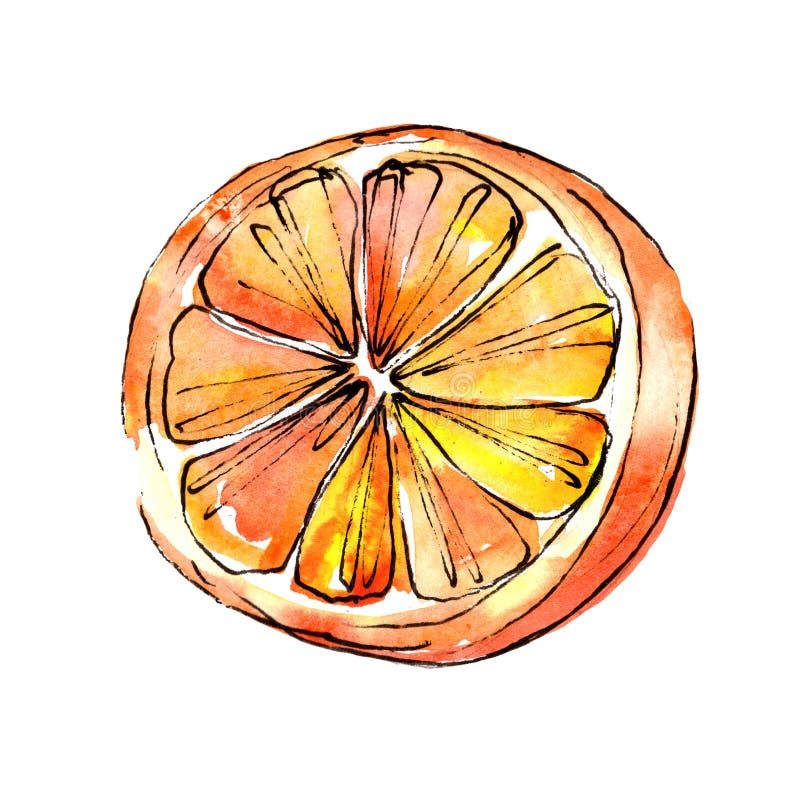 Exotic Lemon Citruses in a Watercolor Style Isolated. Stock ...