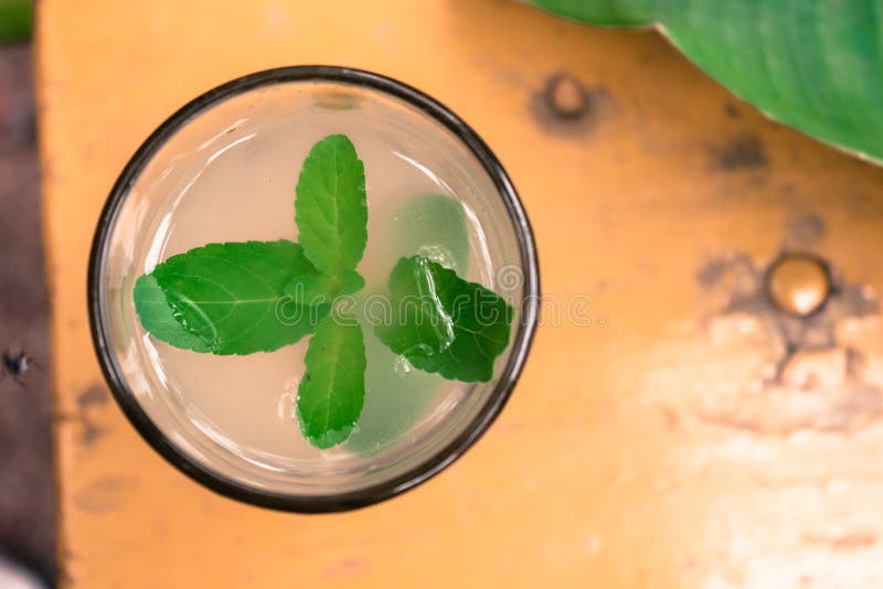 Exotic Lemonade with Mint Leaves Stock Photo - Image of glass ...