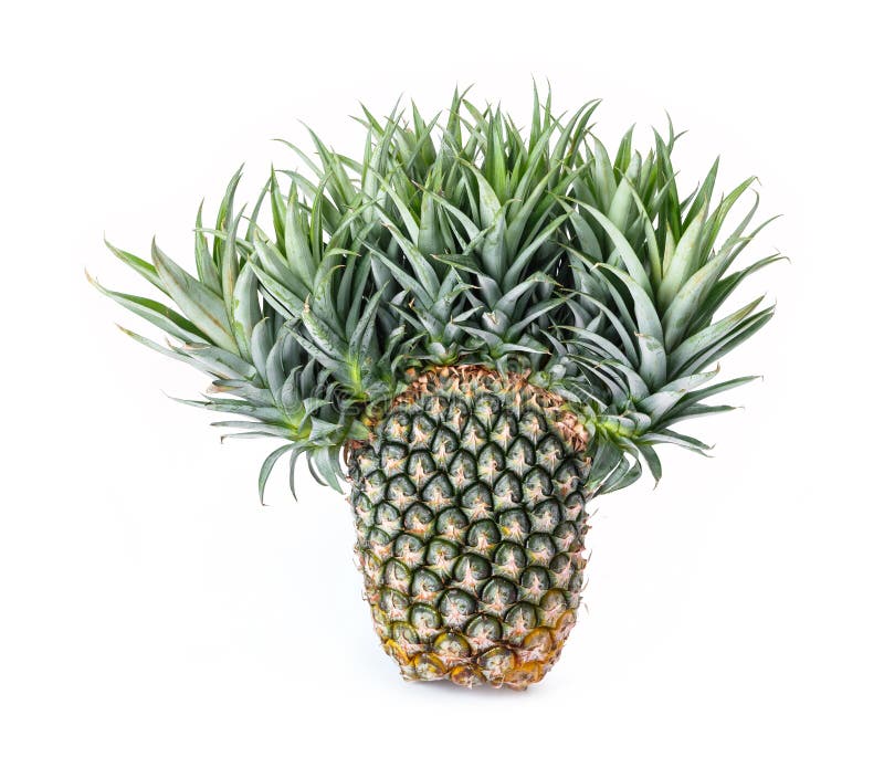 Exotic mutation pineapple stock photo. Image of fantastic - 47096160