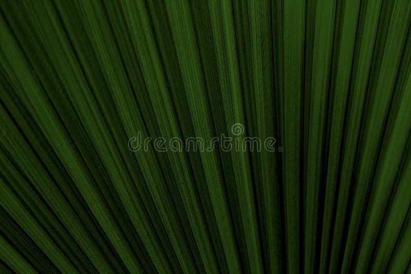 Green linear background stock image. Image of childhood - 218640599