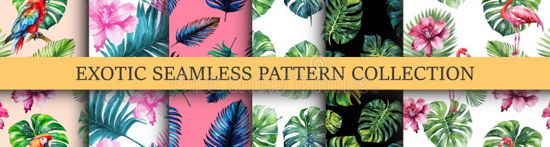 Exotic Patterns Seamless Collection. Palm Leaves, Monstera, Parrots and ...
