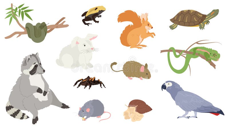 Exotic Pets Set stock illustration. Illustration of snake - 279090998