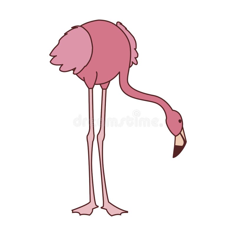 Flemish Bird Stock Illustrations – 497 Flemish Bird Stock Illustrations ...