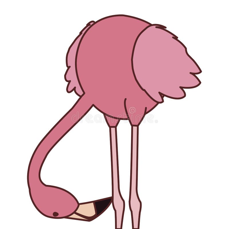 Flemish Bird Stock Illustrations – 497 Flemish Bird Stock Illustrations ...