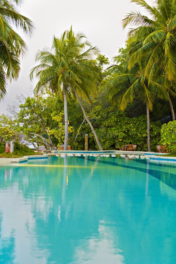 Exotic Pool with a Beautiful View Ocean Stock Image - Image of pool ...