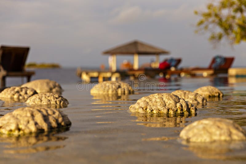 Exotic Pool with a Beautiful View Ocean Stock Photo - Image of asia ...
