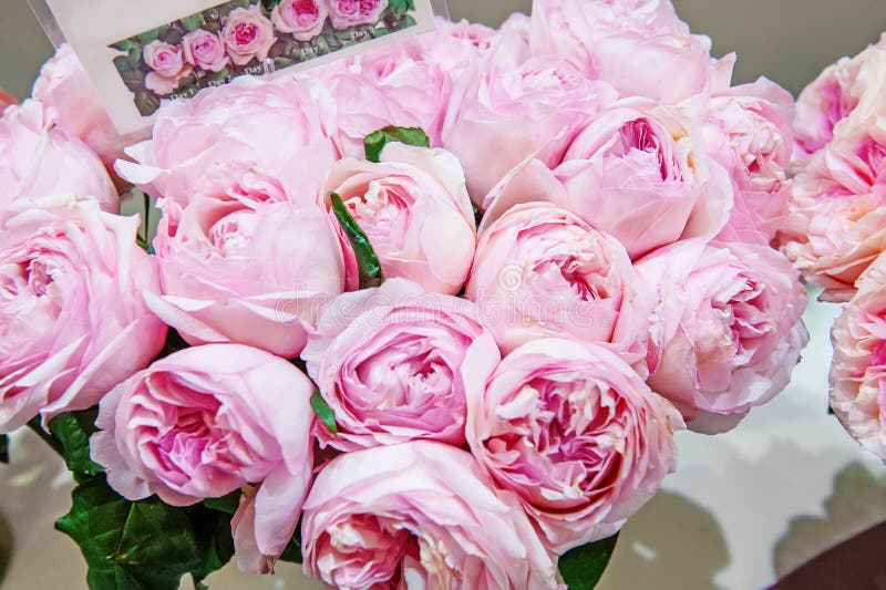 Exotic Roses of Pink Modern Elite Varieties in the Bouquet As a Gift ...