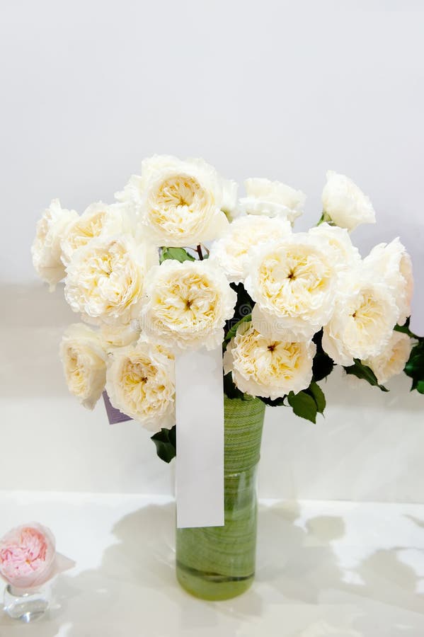 Exotic Roses from White Elite Modern Varieties in the Bouquet As a Gift ...