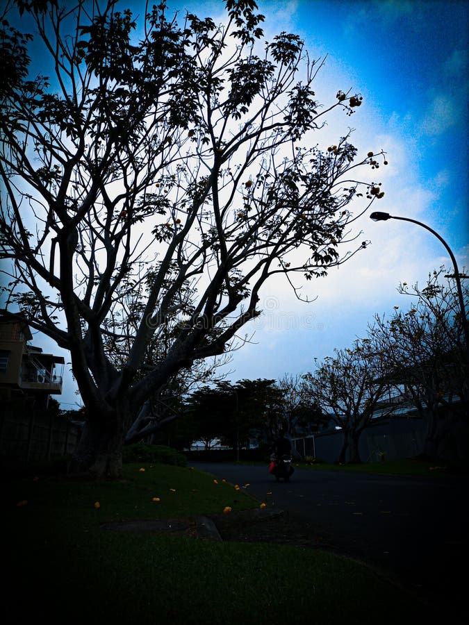 Exotic Scenery in the Afternoon Stock Image - Image of nature, sunset ...