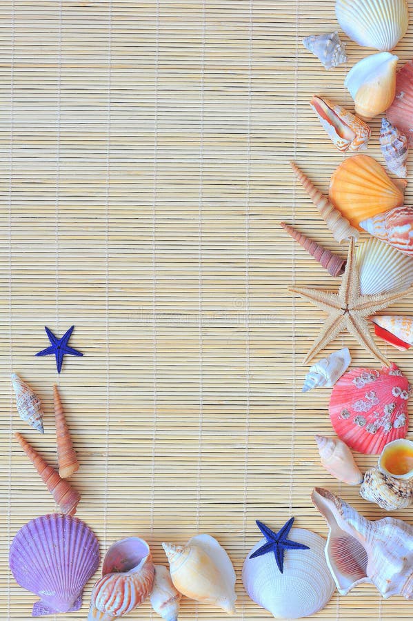 Exotic sea shells frame stock image. Image of decoration - 15736467