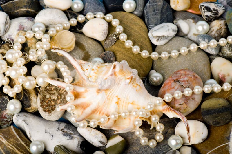 Exotic Shell and Stones, Pearls Stock Image - Image of crystal, detail ...