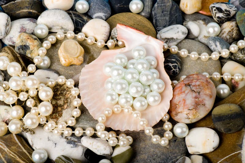 Exotic Shell and Stones, Pearls Stock Image - Image of discovery, conch ...