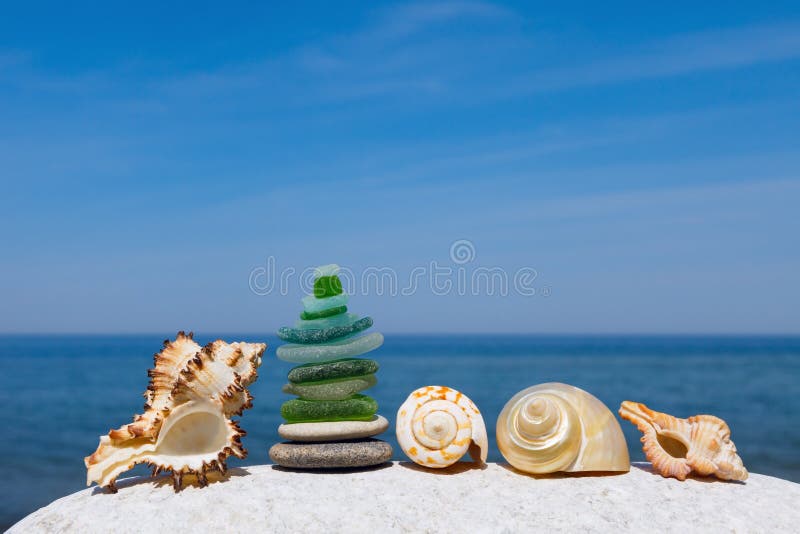 Exotic Shells on the Sea and Blue Sky Background. Stock Photo - Image ...
