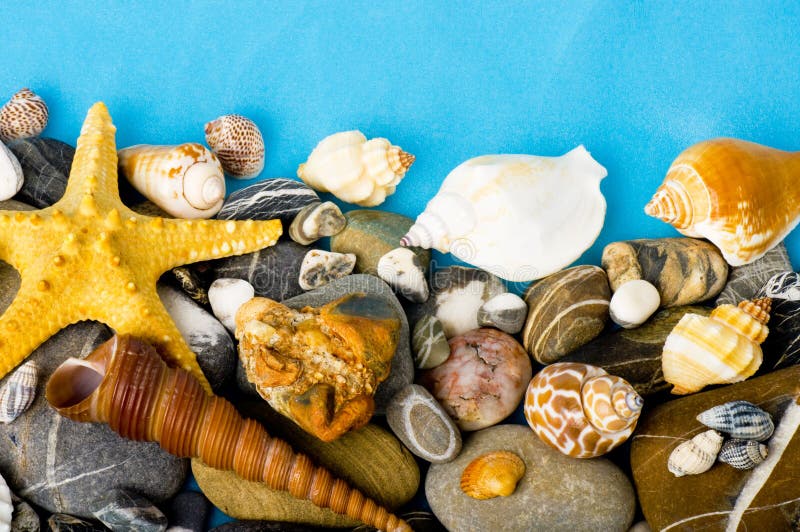 Exotic shells and stones stock image. Image of background - 24689995