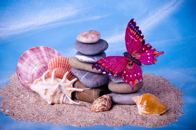 Sea Shells and Butterfly on Sand Stock Photo - Image of sand, shell ...