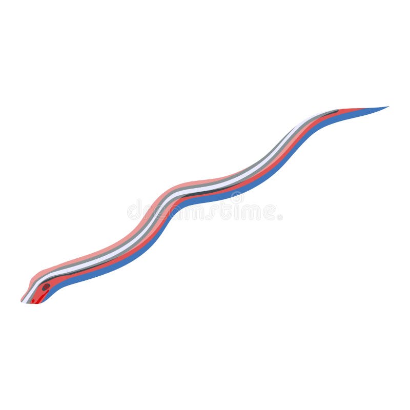 Exotic Snake Icon, Isometric Style Stock Vector - Illustration of ...