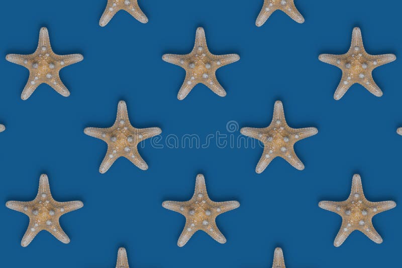 Exotic Starfish Pattern on Blue Background Stock Photo - Image of ...