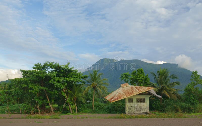 Exotic still life stock photo. Image of travel, environment - 102330806