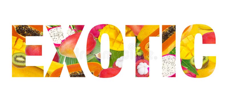 Exotic Text Style Effect stock vector. Illustration of spring - 241943610